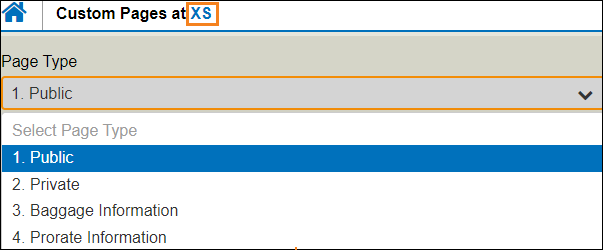 Display Custom Pages